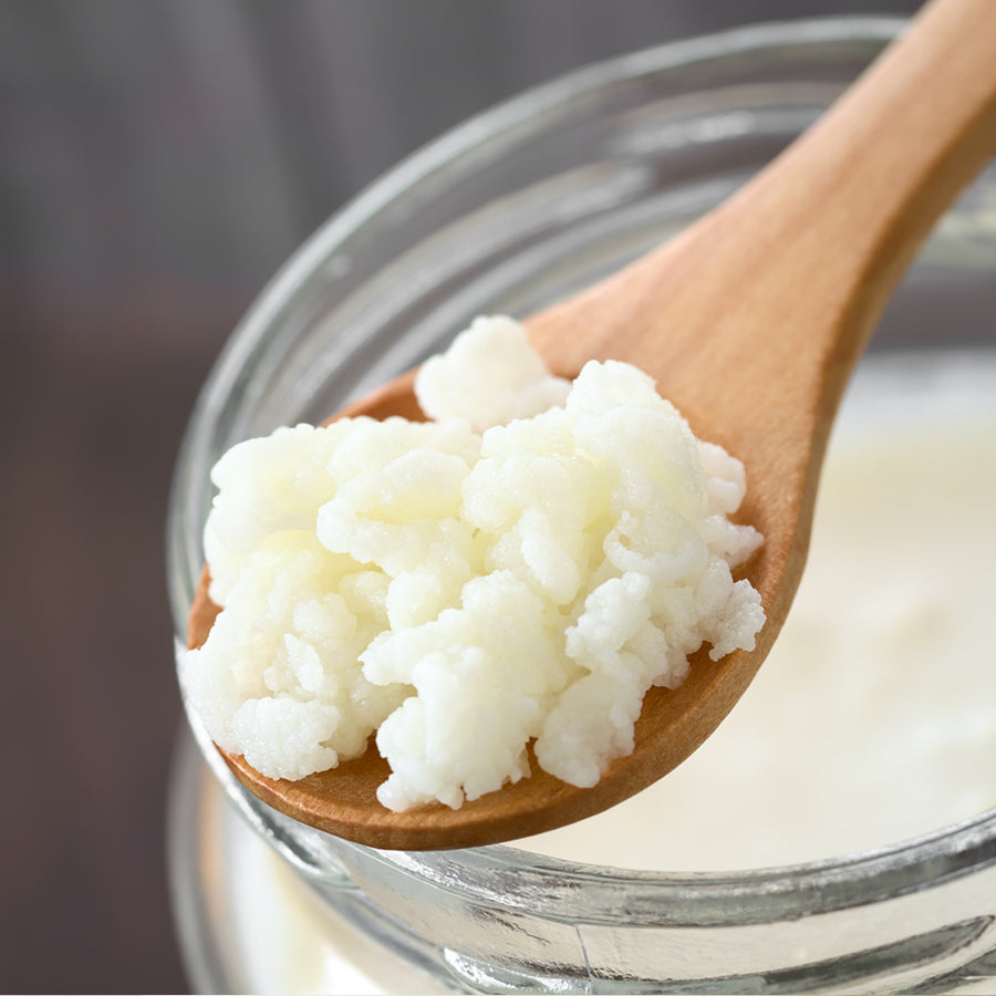 Bio Milchkefir Knollen (10 g)
